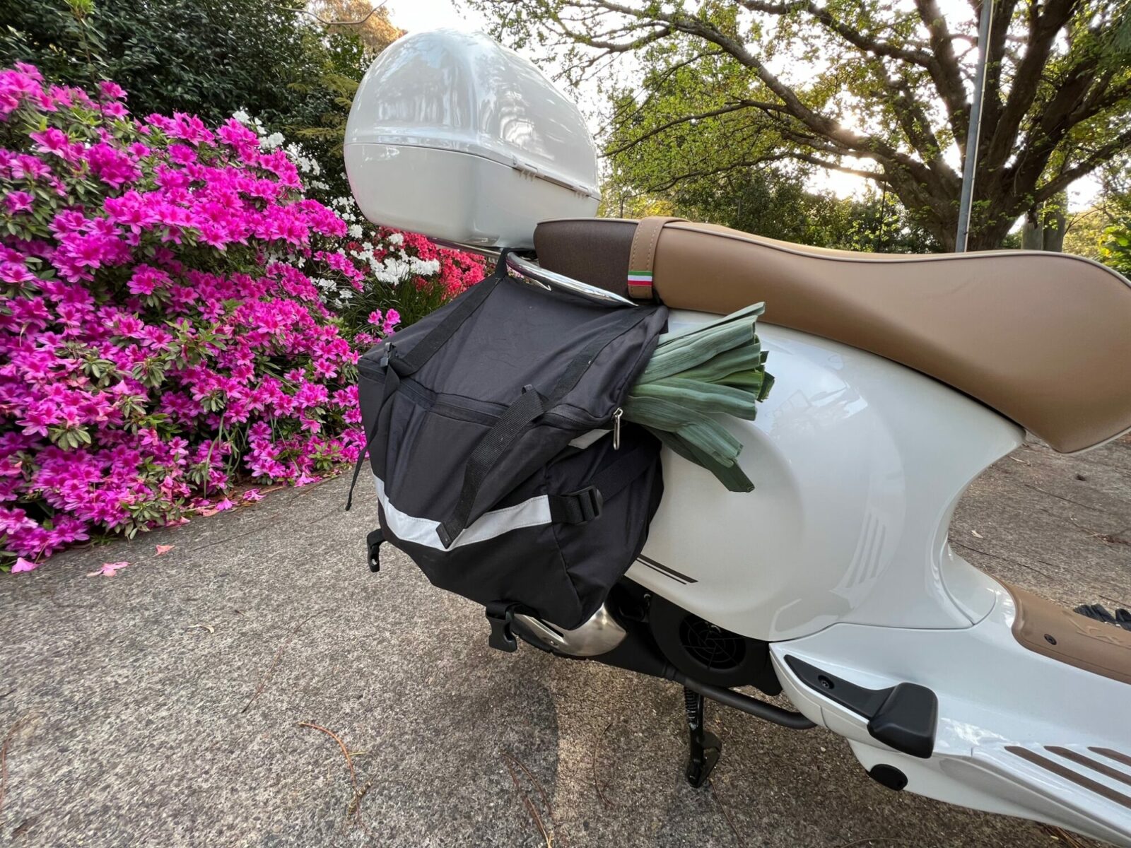 An Inexpensive Storage Solution For Scooter Riders - Scooter Central ...